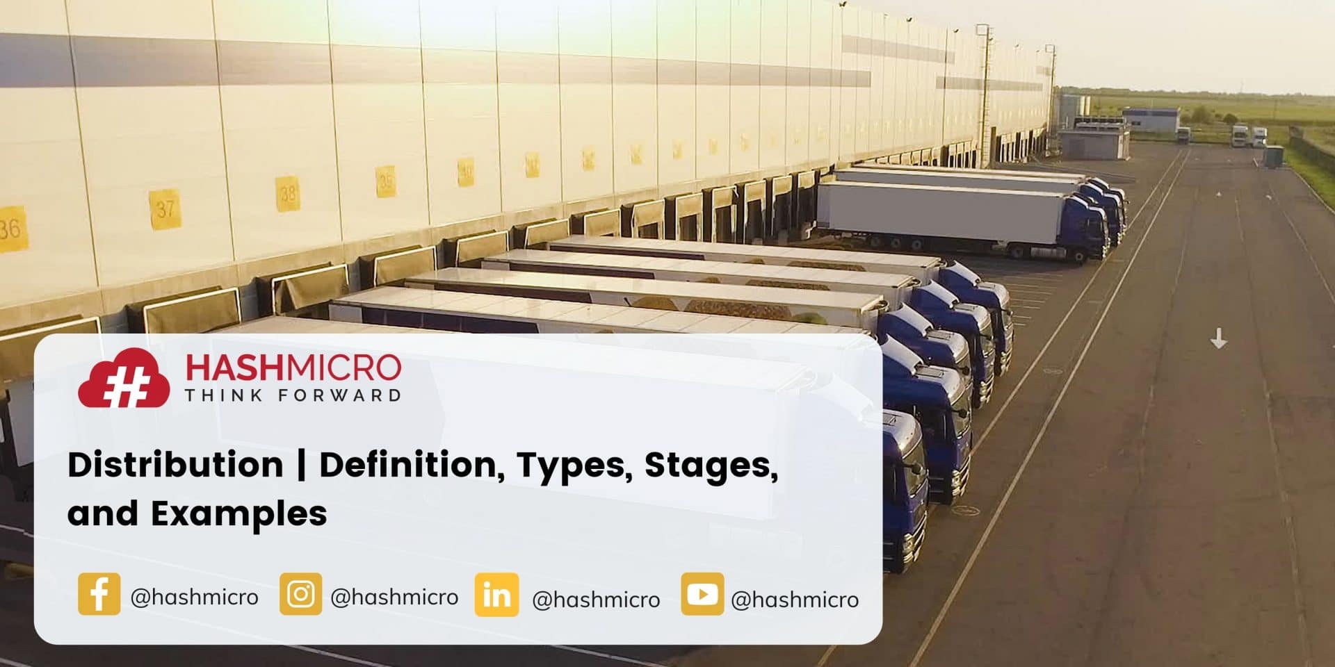 What is Distribution? Definition, Types, Stages, and Examples