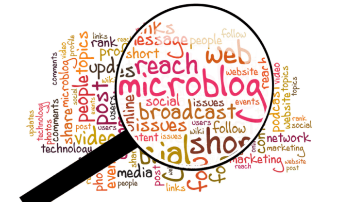 What is a Microblog and Why Do You Need it?