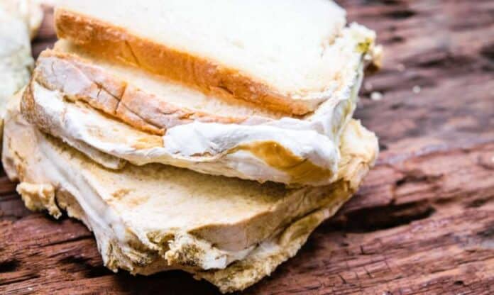 What is FEFO Method, and Why is It Important for Your Business?