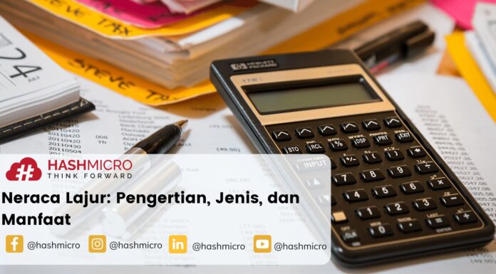 Definisi Neraca Lajur, Beserta Jenis & Manfaatnya dalam Akuntansi