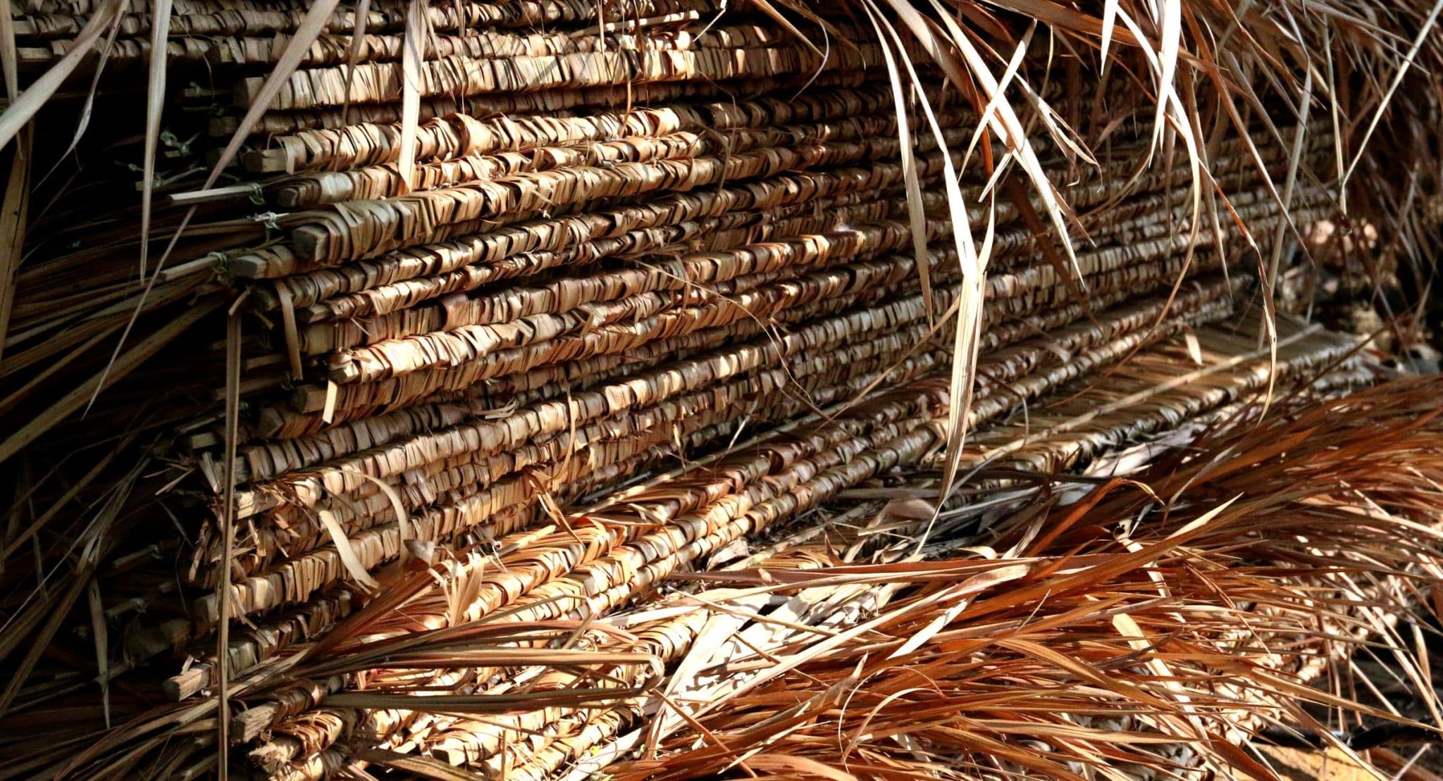 Tips Mengatasi Permasalahan Rantai Pasok pada Industri Sawit