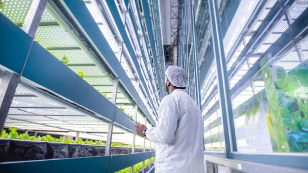 Vertical Farming sebagai Solusi Pertanian Modern di Indonesia