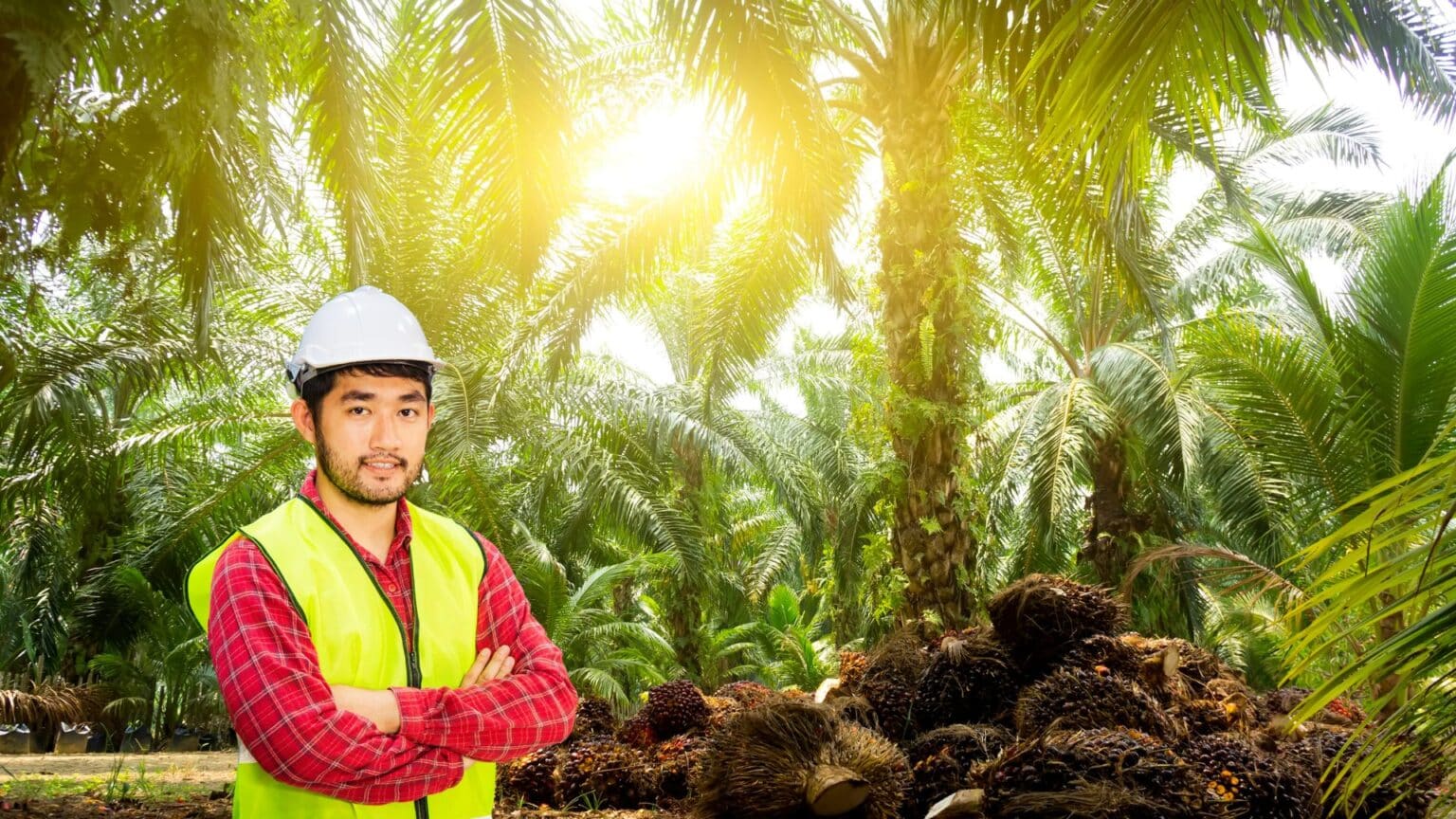 Penerapan ERP pada PT Astra Agro Lestari Penerapan ERP pada PT Astra Agro Lestari
